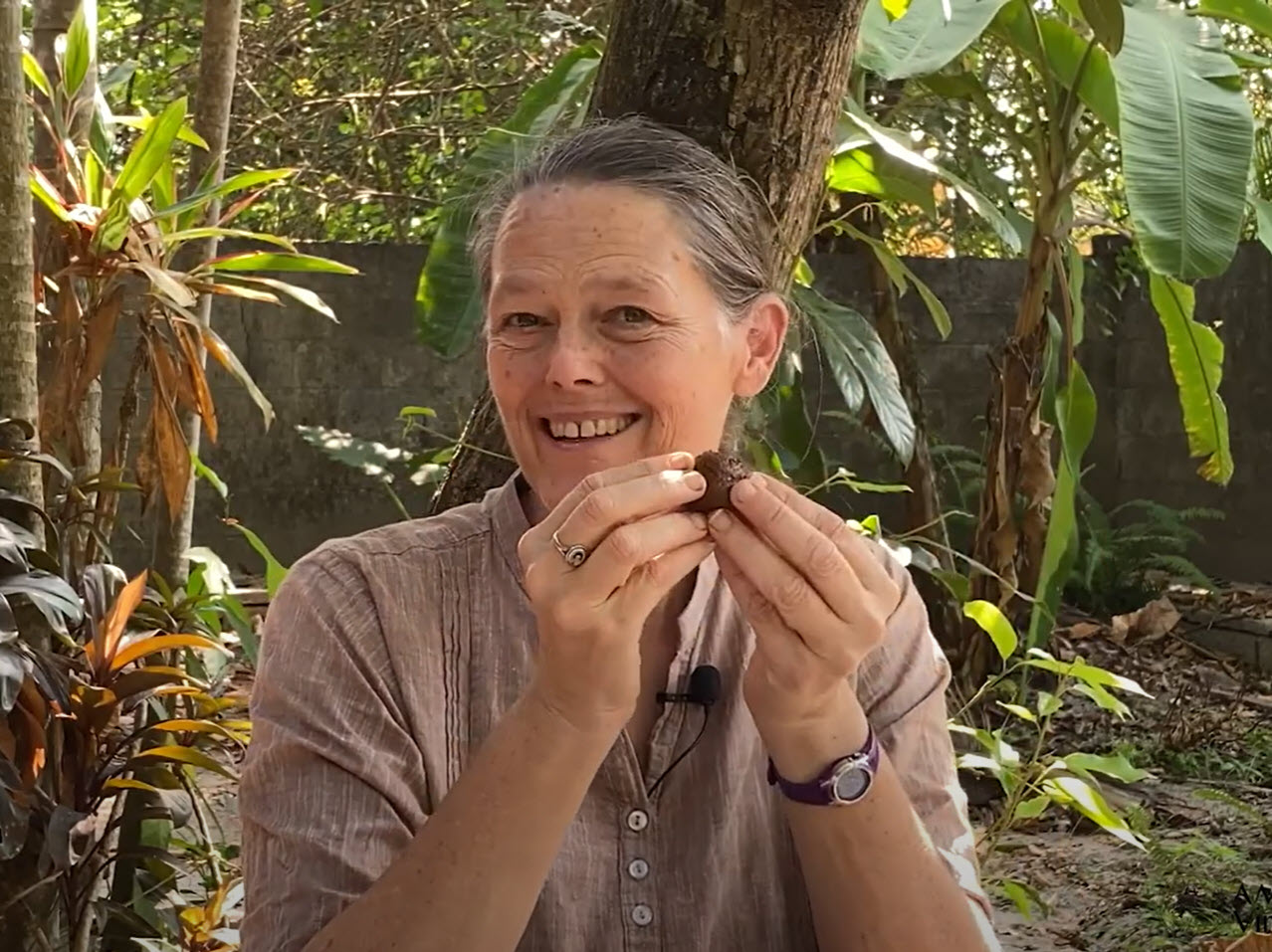 How to Make Seed Balls! 🌳 Easy Tree Planting for Eco-Harmony! - Amrita ...